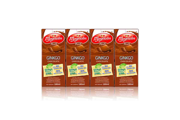 Wholesale market for Thai quality productsMAGNOLIA GINGKO UHT Milk ...